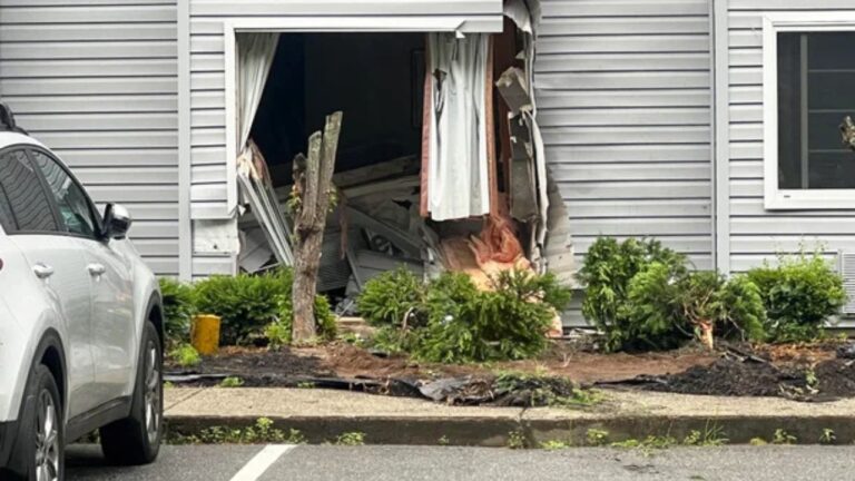 Pregnant Woman Crashes Into Massachusetts Hotel, Opens Fire Before ...